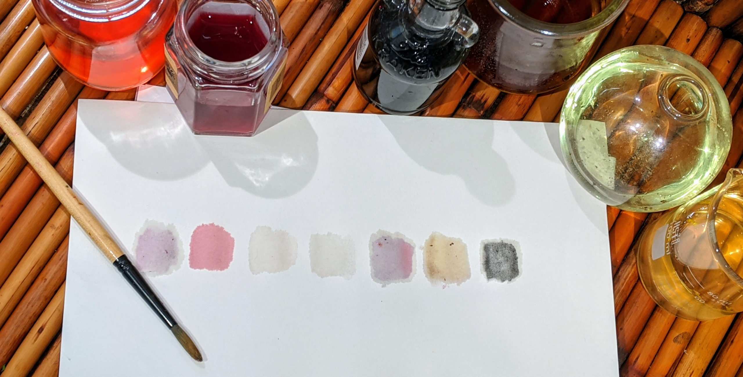 Natural Inks - Maker Camp