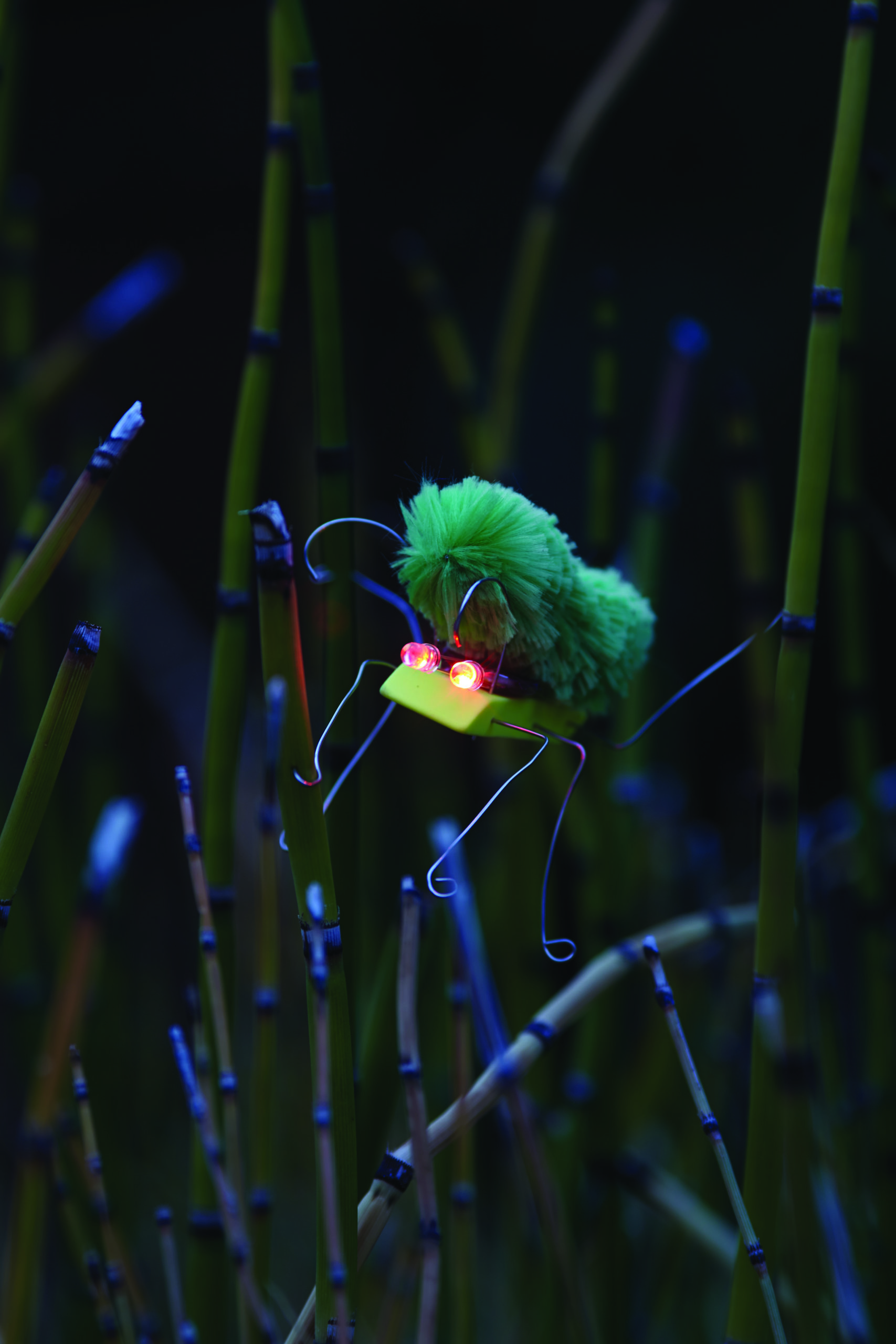 Flickerbugs - Maker Camp